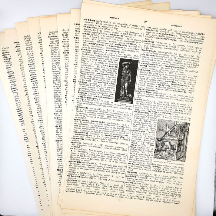 Vintage Dictionary Pages – Erin Bradley Creative
